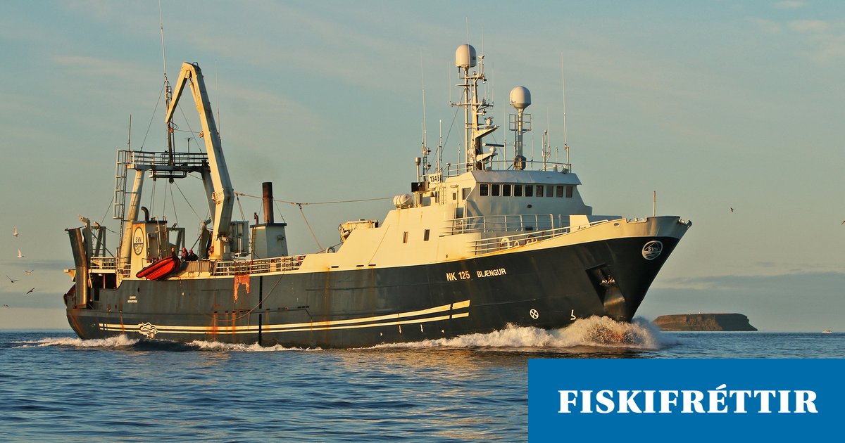 Blængur NK með mettúr