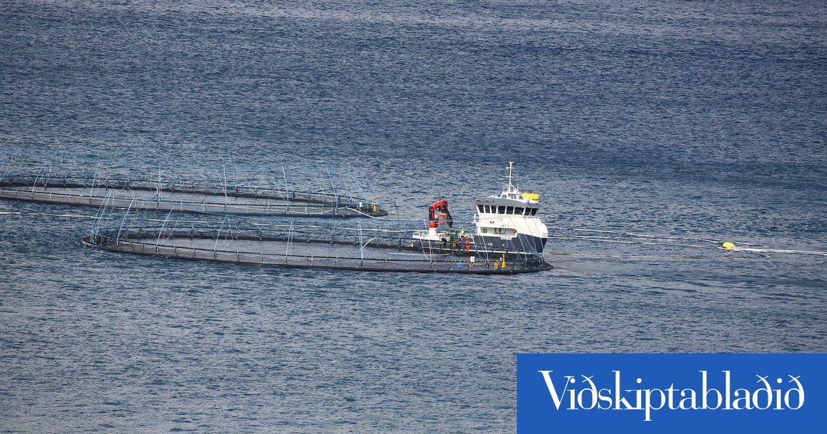Kaupa yfir helming í Ice Fish Farm