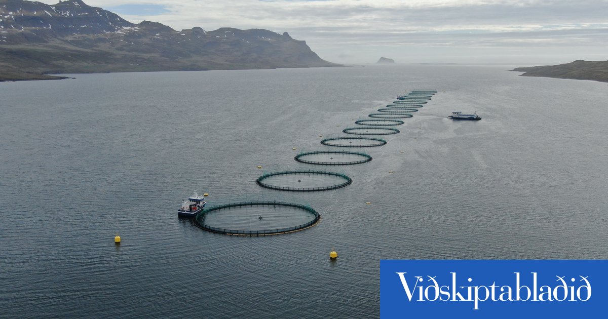 Íslendingar setja 2 milljarða í Ice Fish Farm