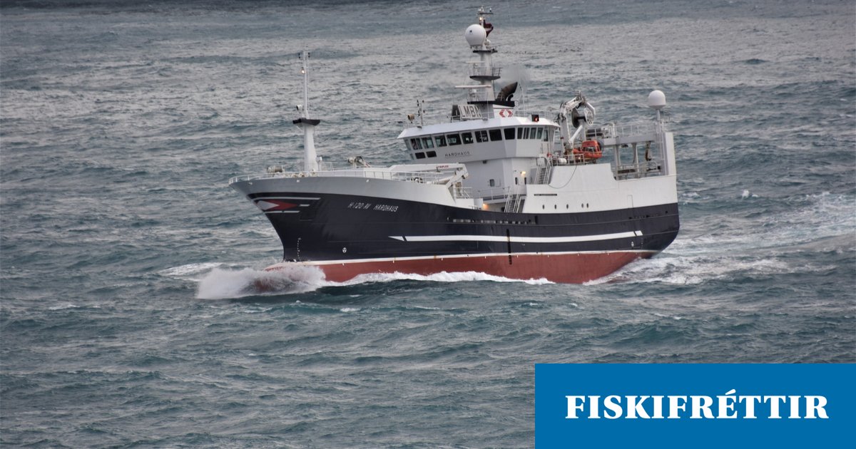Álsey VE yfirgaf Húnaflóann með 70 tonn af loðnu