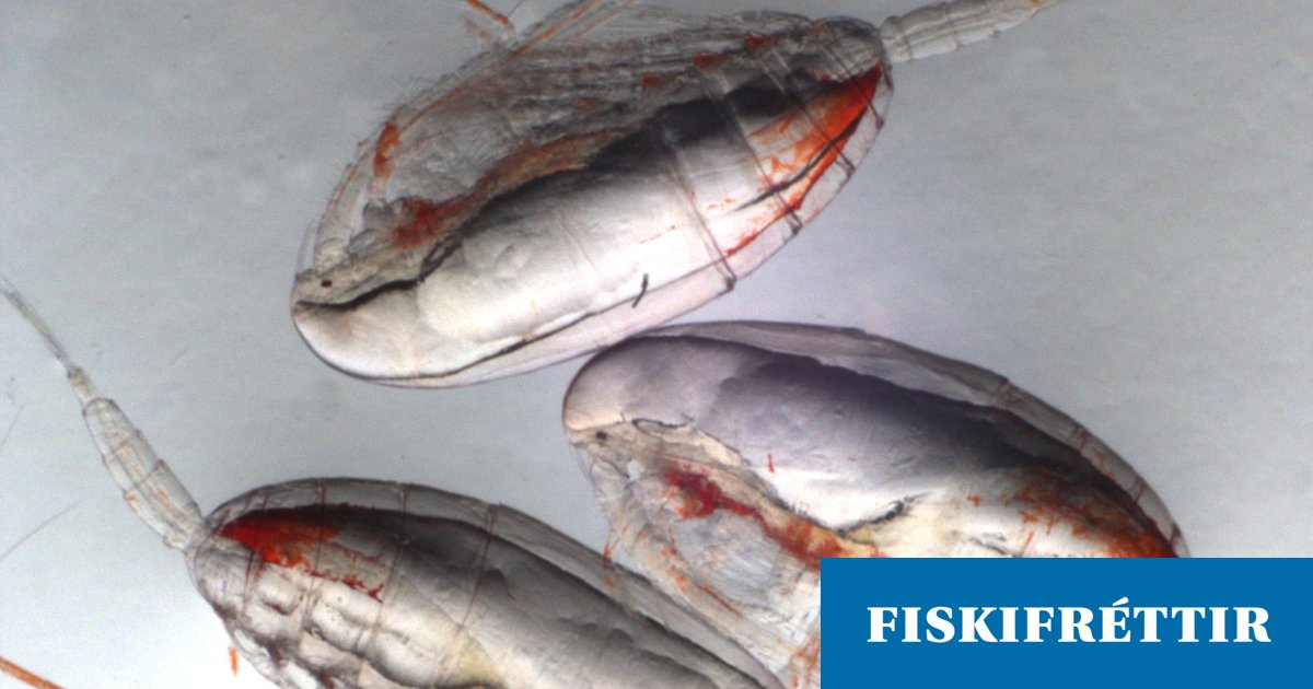 Breytt hugarfar gagnvart hliðarstraumum