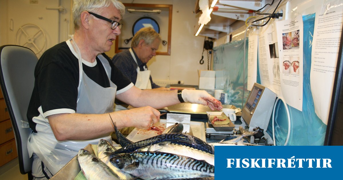 Fengu 164 makríla í níu þúsund kílómetra leiðangri
