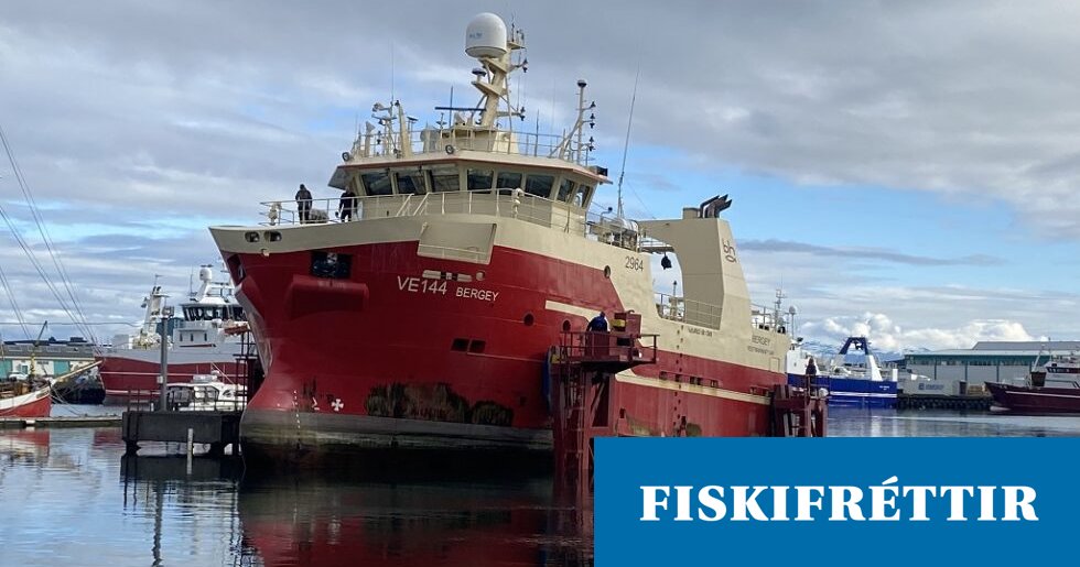 Bergey verður Bergur