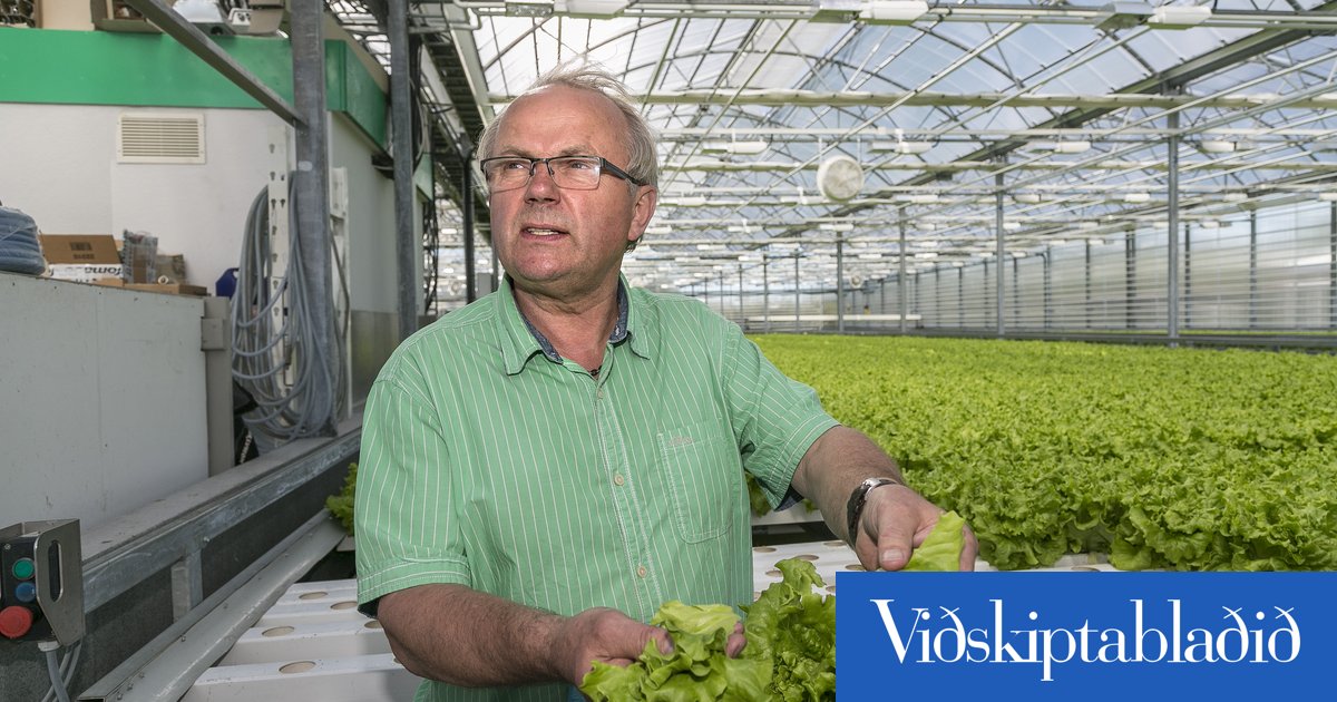 Selur ævistarfið eftir 43 ára rekstur