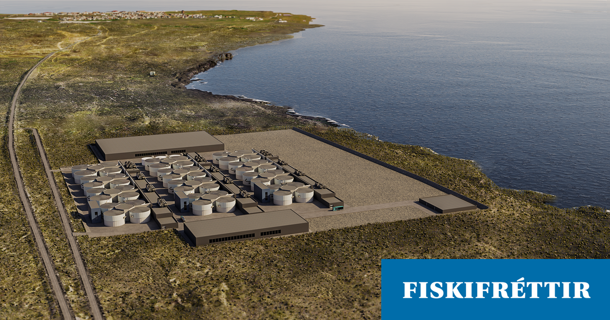 Skipulagsstofnun gefur grænt ljós á landeldi GeoSalmo