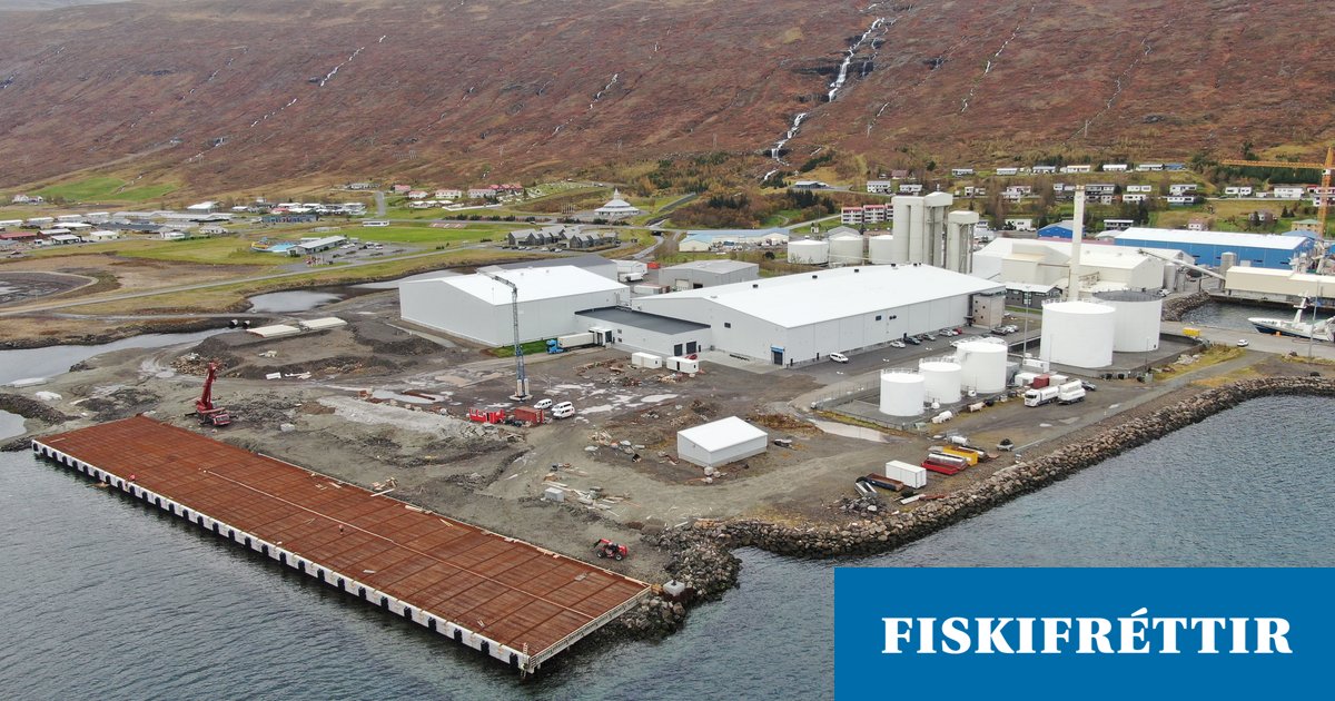 Eskifjarðarhöfn stækkar