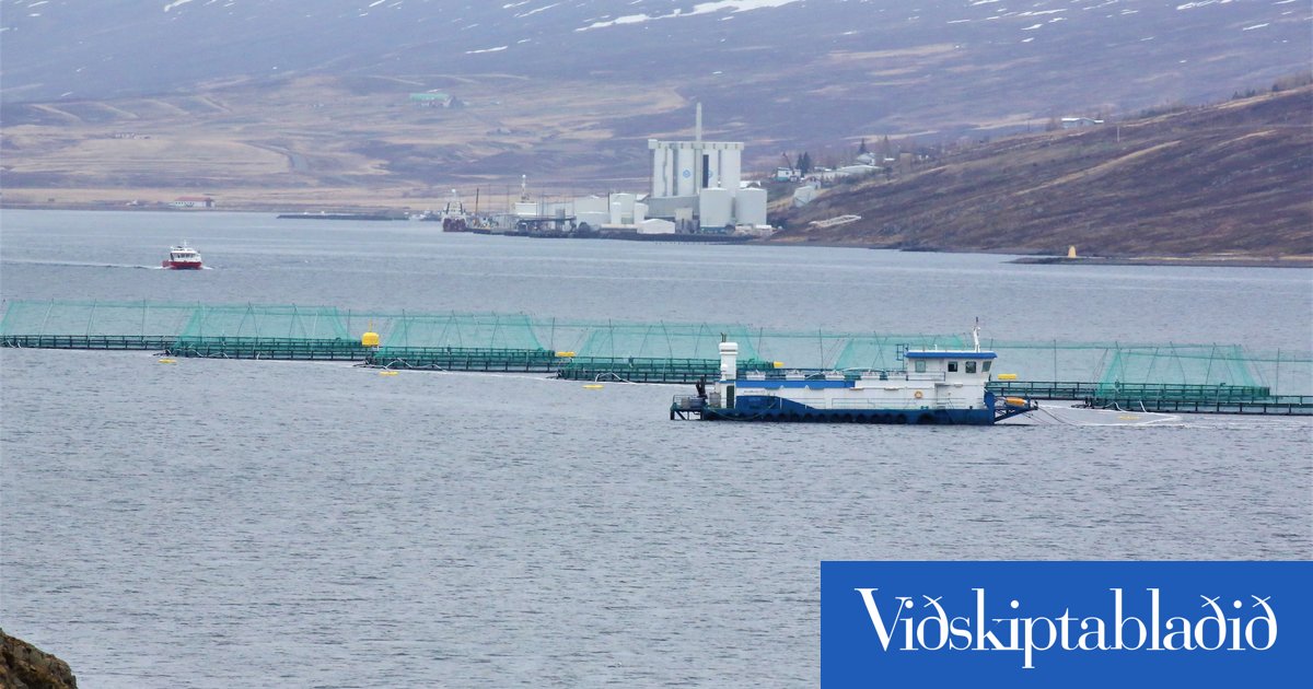 Guðmundur hættir sem forstjóri Ice Fish Farm