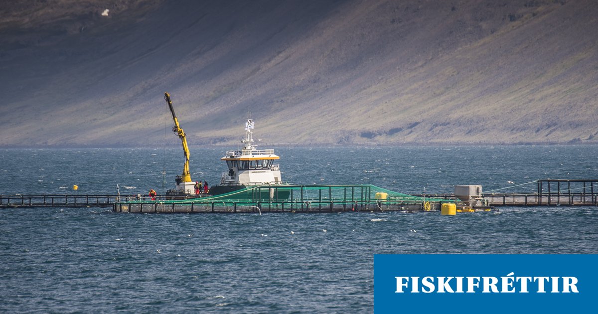 Hámarkslífmassi frjós eldislax verði ekki meiri en 106.500 tonn