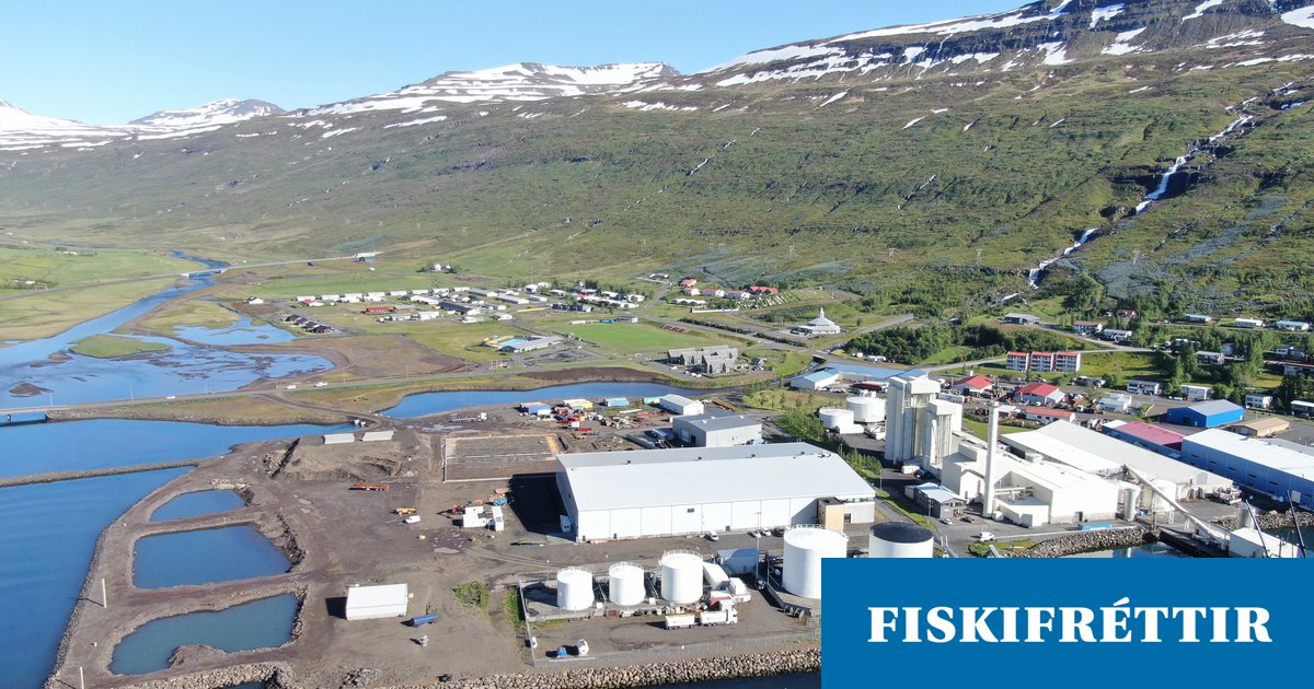 Eskja hagnaðist um 4,4 milljarða