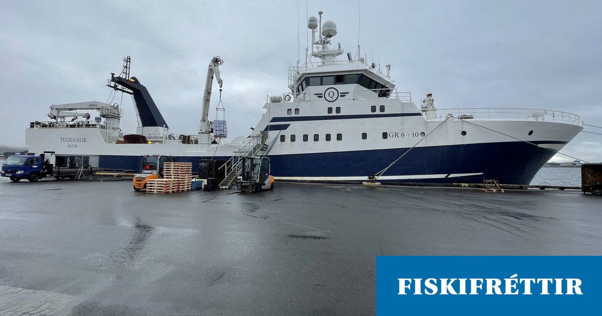 Brim kaupir heilfrystitogara frá Grænlandi