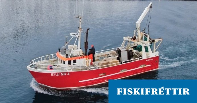 Fer örugglega að gera eitthvað ef ég verð lifandi