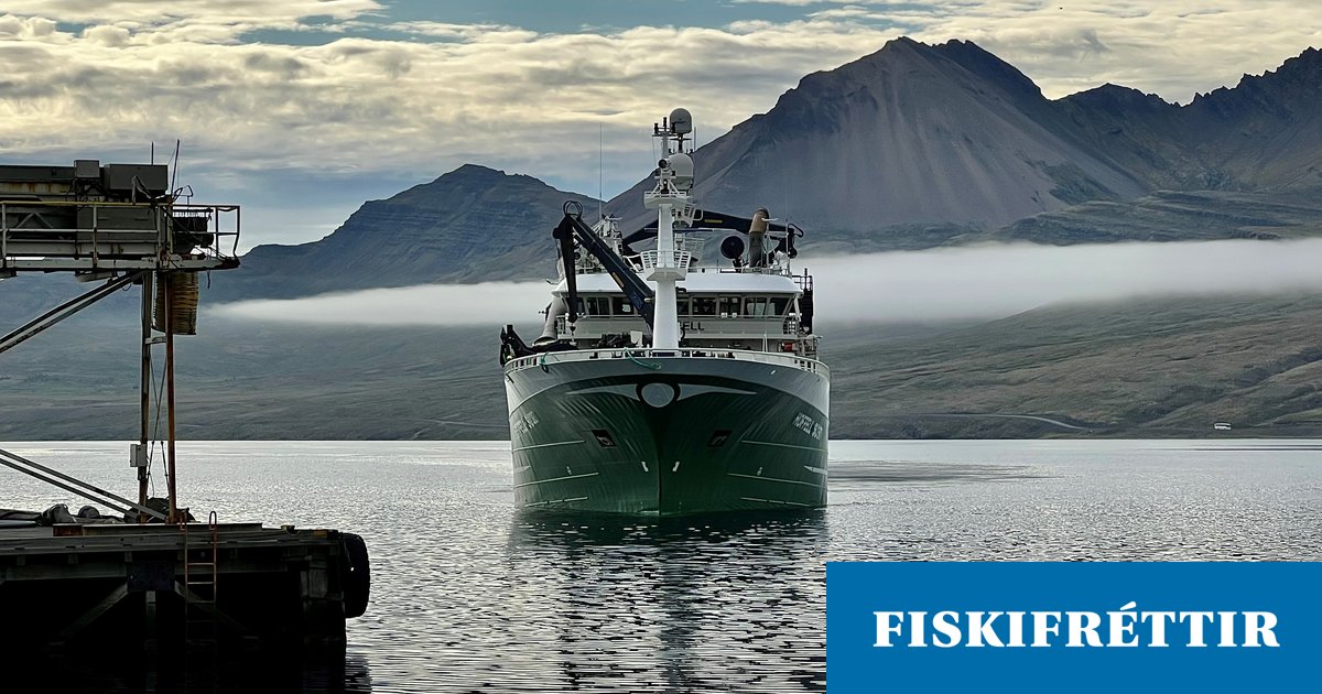 Hoffell með 600 tonn úr Smugunni