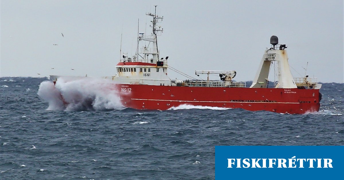 „Fullt af stórum og flottum fiski við bæjardyrnar“