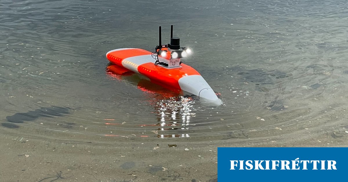 Útgerðirnar að kveikja á Sea Saver