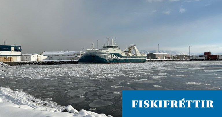 Skip Fisk Seafood landa þorski, ýsu, ufsa og karfa