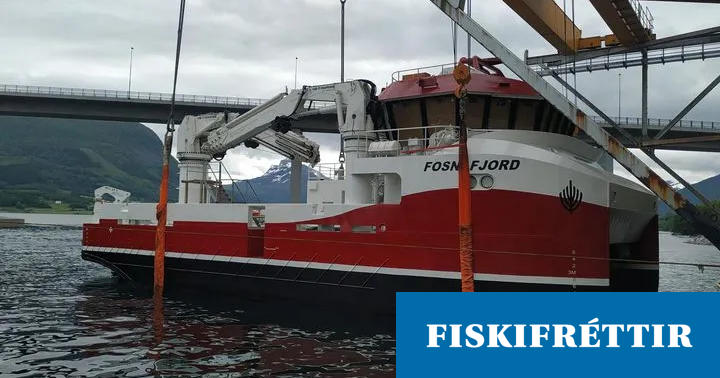 68% af lönduðum bolfiski eldislax í janúar