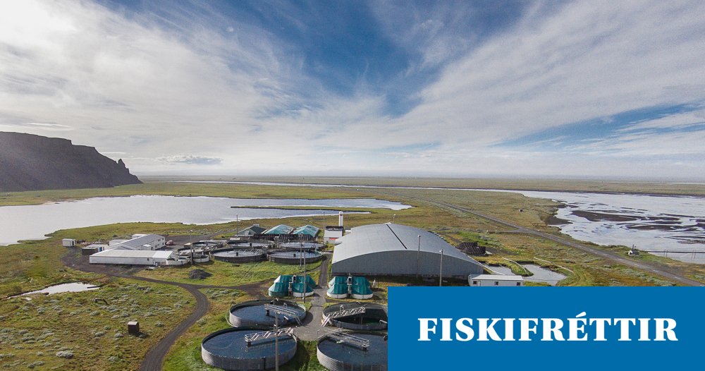 Samherji segir landlax hafa fengið góðar viðtökur