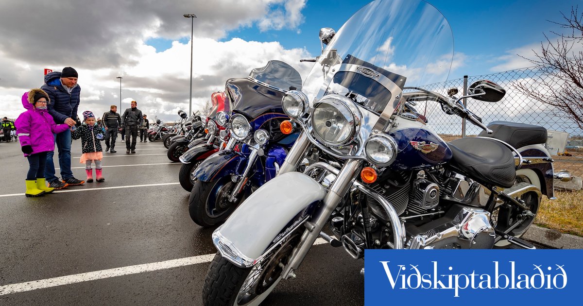 40 ára afmælissýning Snigla