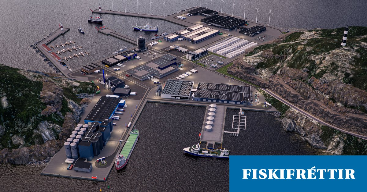 Pescatech vex á Íslandi