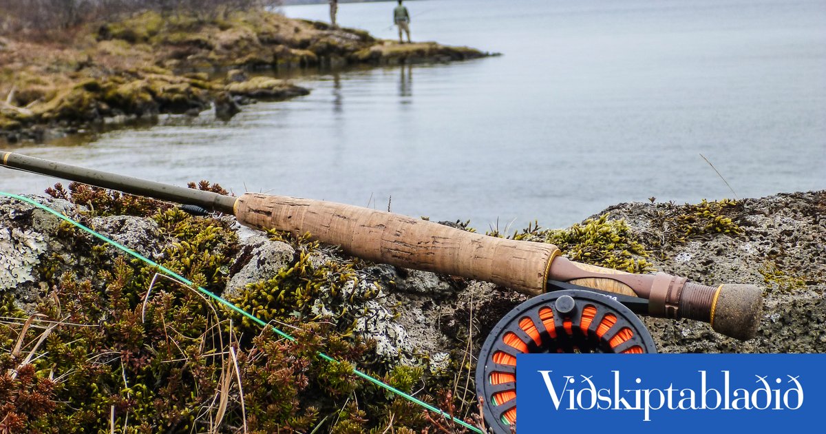 Nokkrar góðar flugur í silunginn