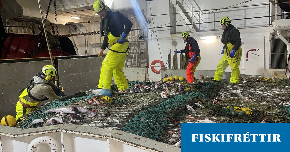 Ufsinn í felum og beðið eftir vertíðinni