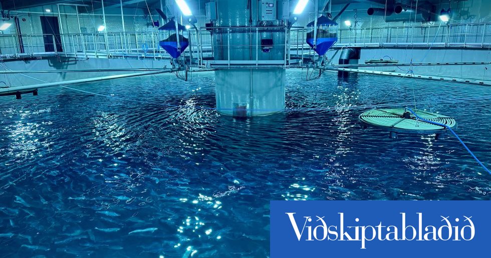 Fyrsti skammtur fluttur í fisk­eldis­ker Lax­eyjar