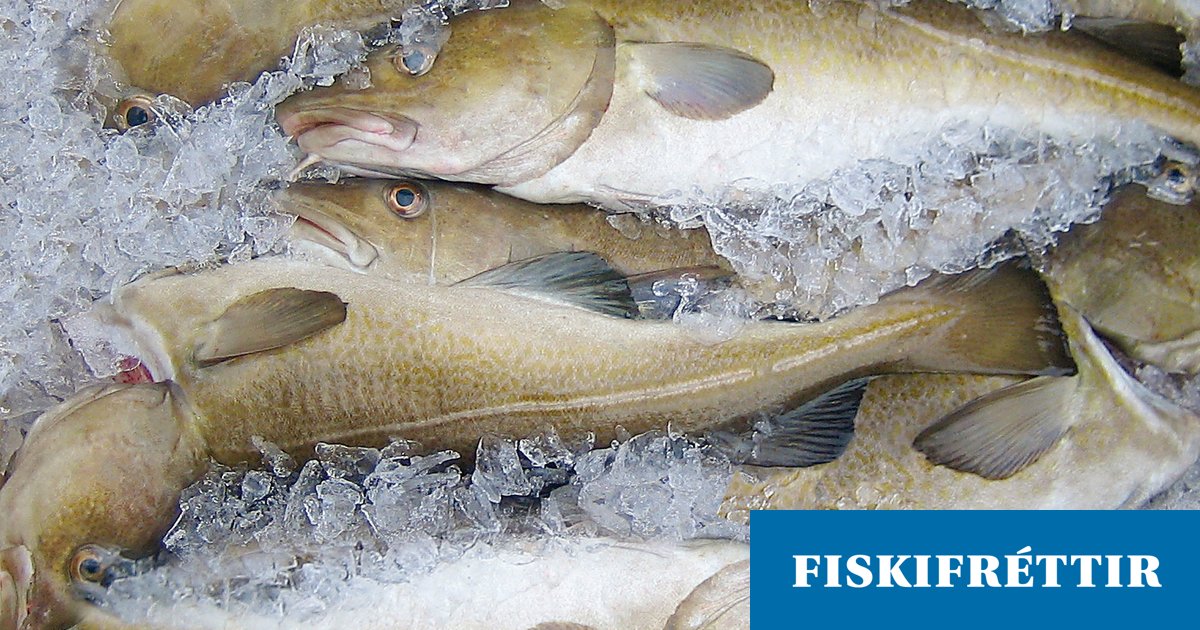 Breyting á reglugerð um vigtun – leiðir til minni ísingar og lakari afla