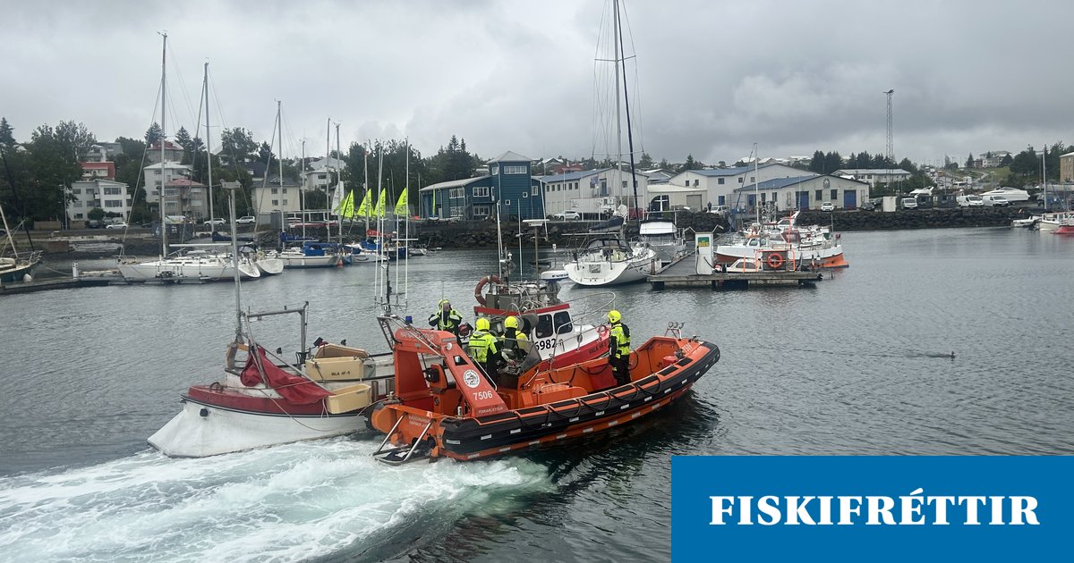 Bilun í stýrisbúnaði – dreginn til Hafnarfjarðar