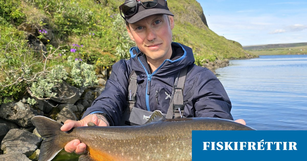 Rannsakar áhrif landnáms hnúðlaxa