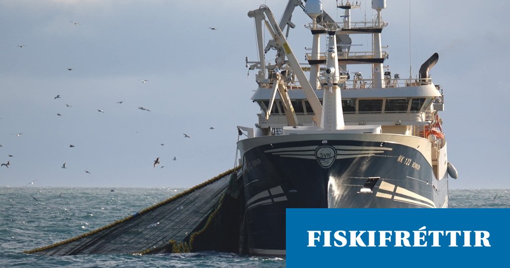 Fínasta loðnuveiði en spáir brælu