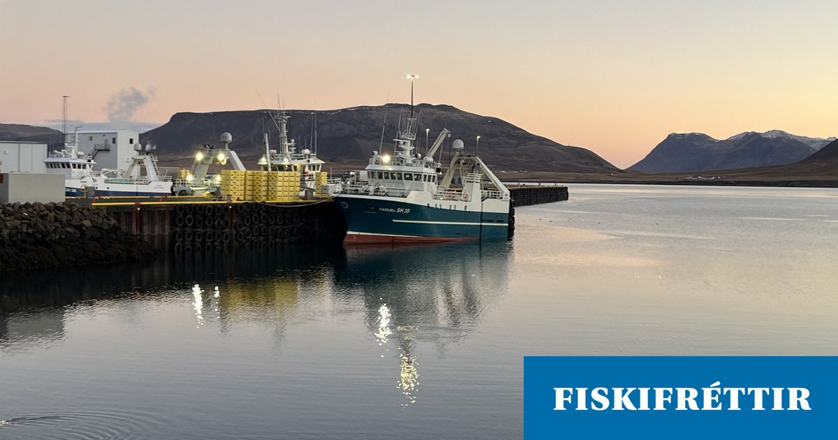 Góður gangur hjá skipum Fisk Seafood
