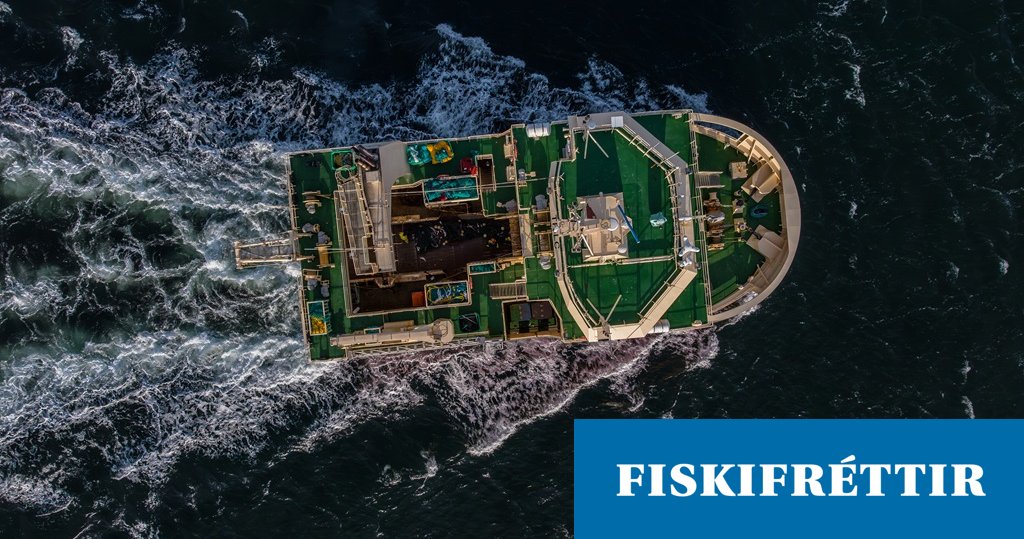 Fínasta ýsa og þorskur í loðnuveislu
