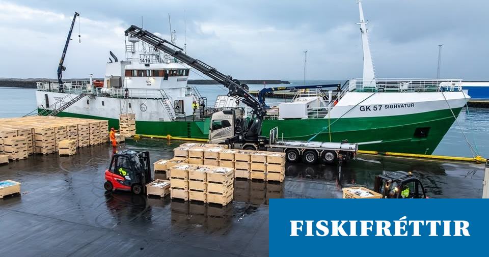 Fallegur fiskur og stútfullur af hrognum