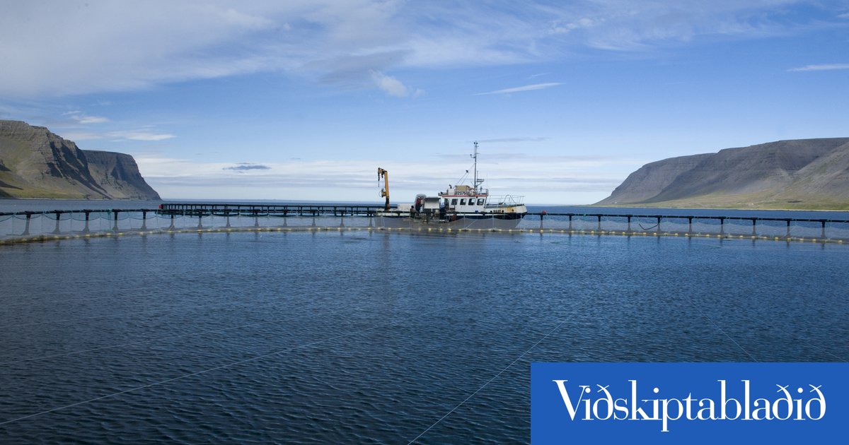 Saka sex norsk lax­eldis­fé­lög um verð­sam­ráð