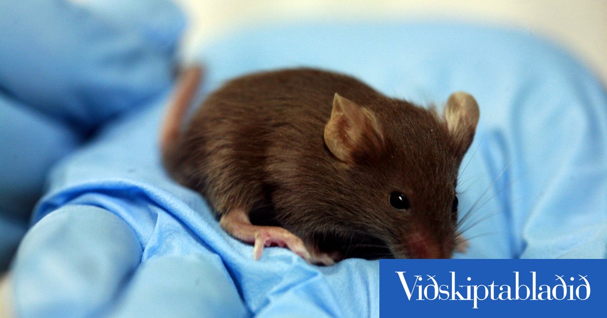 Sterar geta haft áhrif í áratug eftir notkun