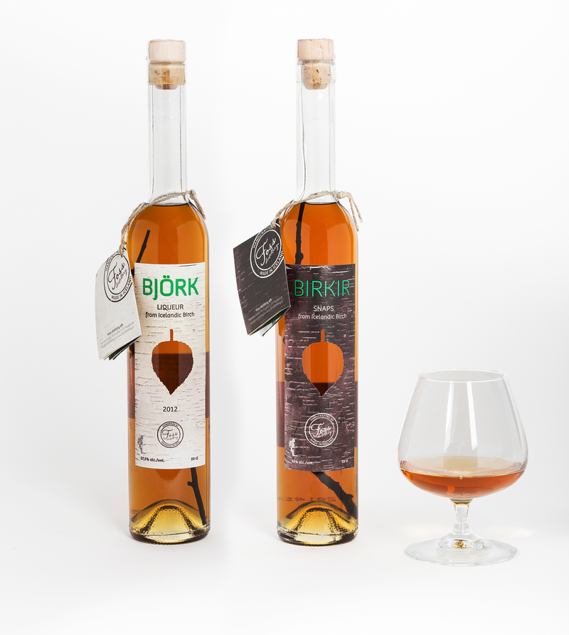 Björk & Birkir til Bandaríkjanna